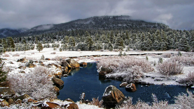 Carson River in Winter Cloak | Where Eagles Fly®